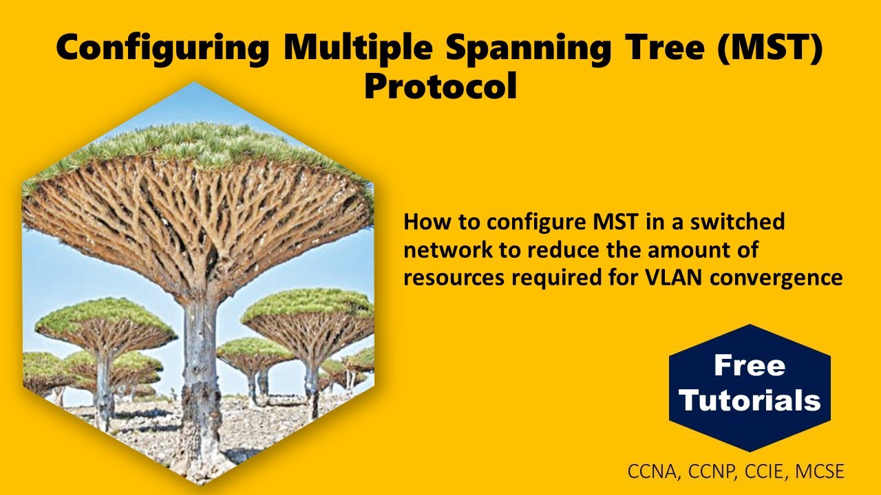 Configuring Multiple Spanning Tree (MST) Protocol