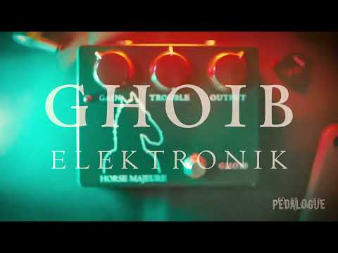 Ghoib Elektronik Horse Majeure | Reverb