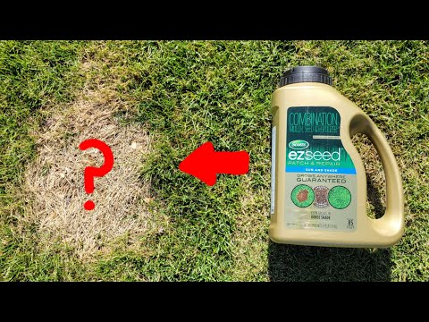 Scotts EZ Seed Patch And Repair – Application & Results