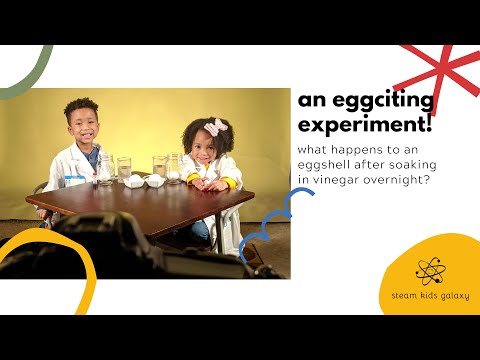STEAM Activities for Kids | An Eggciting Experiment | Learn at Home