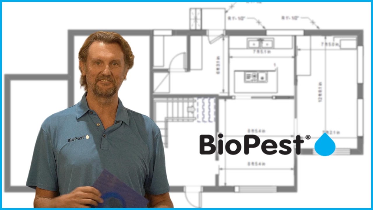 Biopest -  What we do