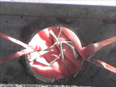LeavesOut Big Mouth Installation