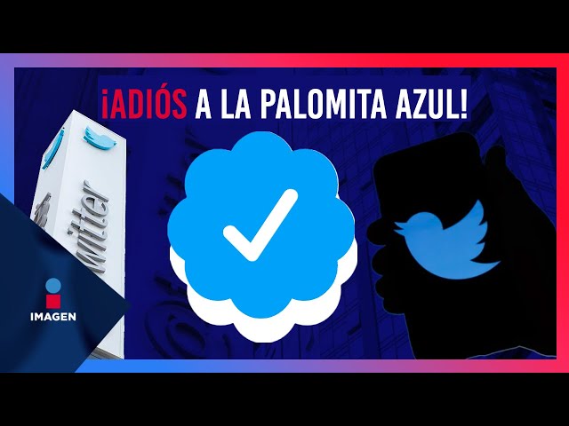 Hacker - Twitter: ¿Por qué ahora solo podrás ver cierto número de tuits ...
