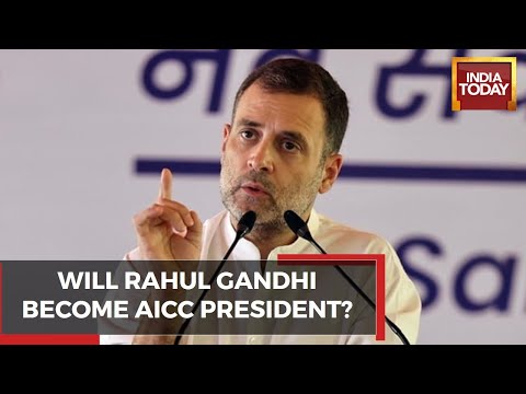 CWC Approves Congress Presidential Polls Schedule As Clamour For Rahul Gandhi As Party Chief Grows