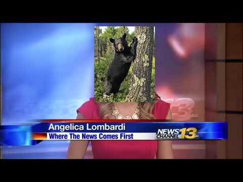The Bear of Bad News