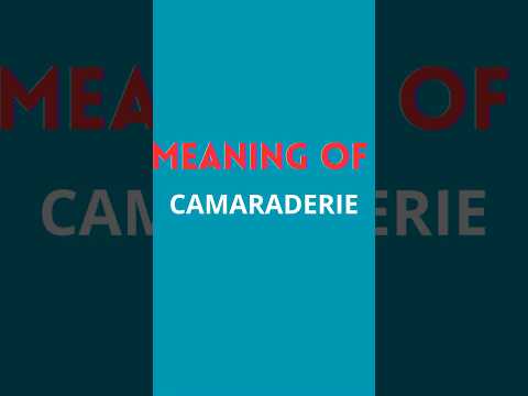 CAMARADERIE MEANING