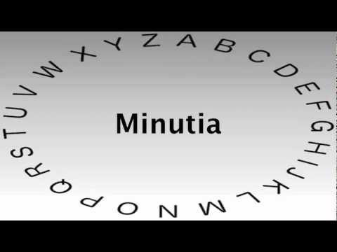 SAT Vocabulary Words and Definitions — Minutia