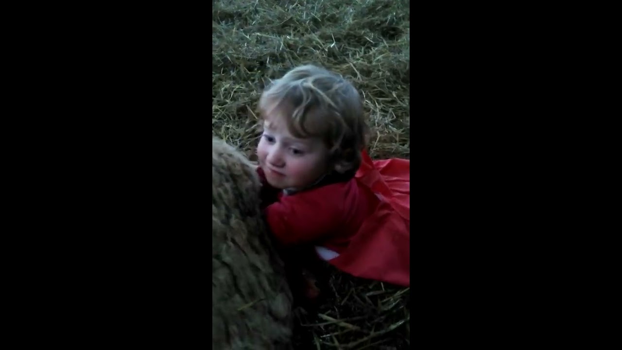 All creatures great and small as three-year-old single handedly ...