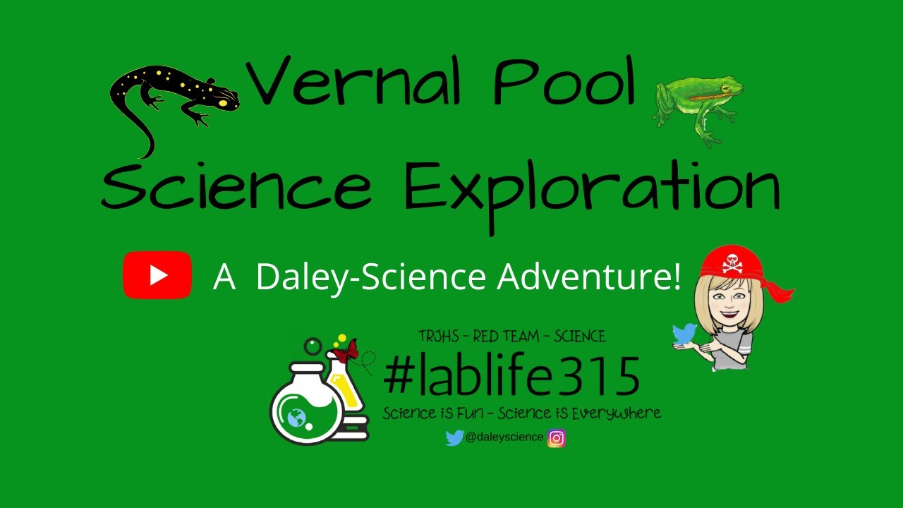 Vernal Pool Exploration Spring 2020