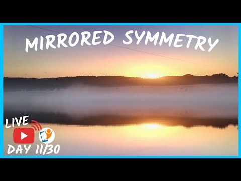 Why Mirrored Symmetry & Reflections in Photos | Daily Photo Composition Tips | Day 11/30 Live