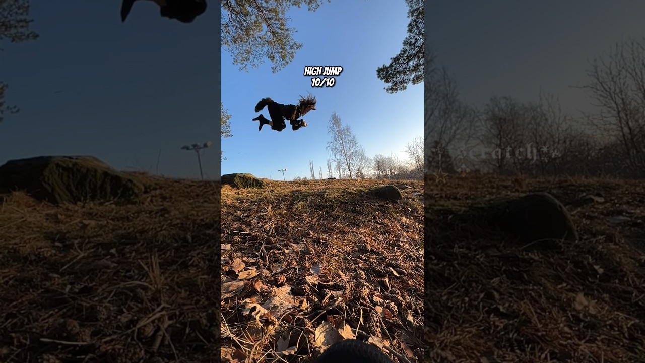 rate my form! #jump #quadrobics #quadrobicsjump #therian #therianthropy