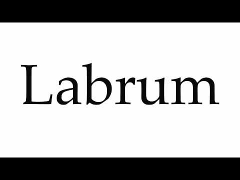 How to Pronounce Labrum
