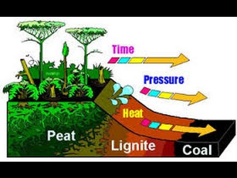 Fossil Fuels