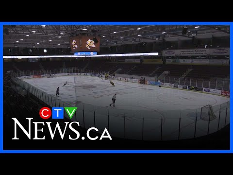 New owners of Sarnia Sting hope to take the team to new heights