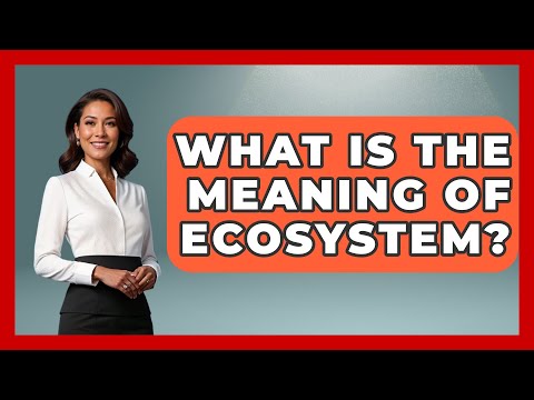 What Is The Meaning Of Ecosystem? - Biology For Everyone