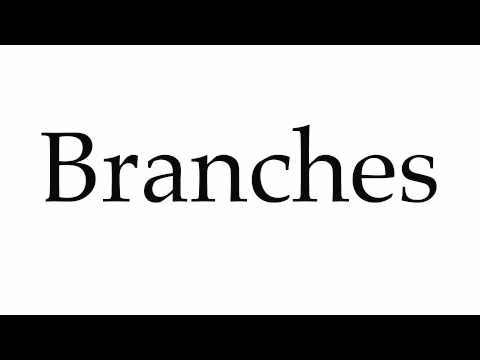 How to Pronounce Branches