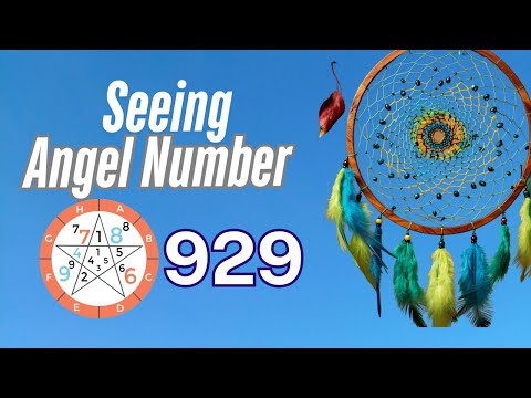 Discover the Meaning Behind Angel Number 929 ✨✨ | Spiritual Guidance & Messages 🕊️