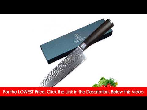 10 BESTE YARENH Damascus Chef's Knives 8" with Japanese Damascus Steel and wooden handle
