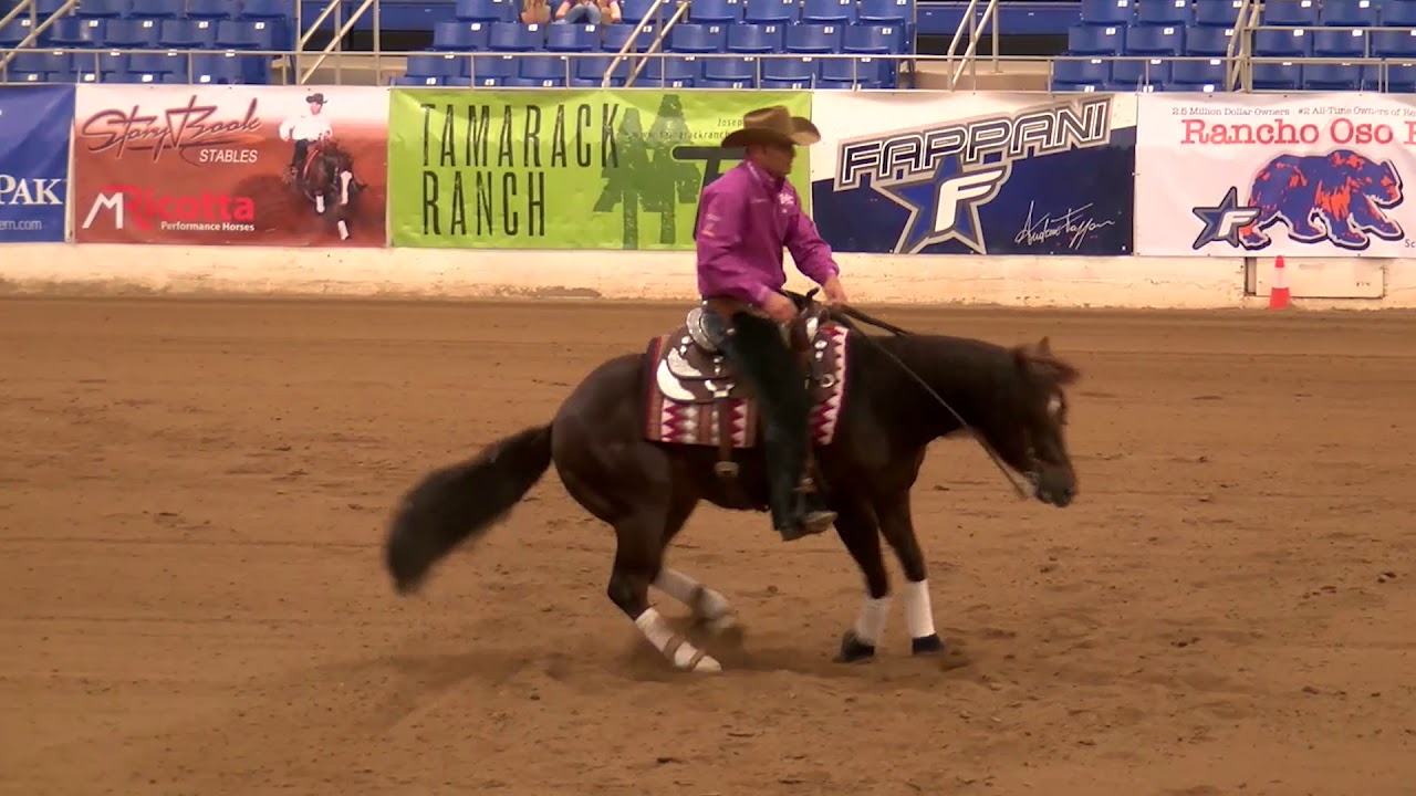 Bob's Custom Saddles — Reining