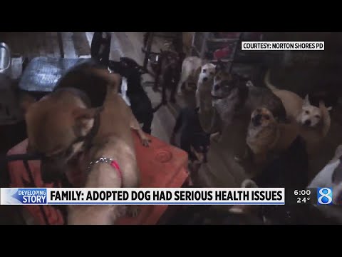 Court record: Suspect said puppies died recently in home where 78 dogs seized