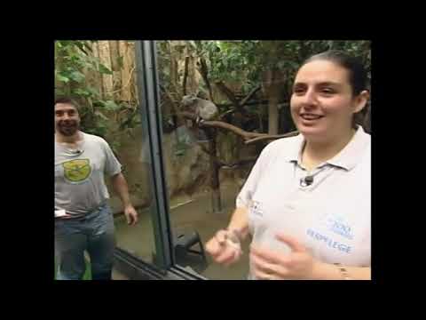 Duisburg Zoo, Ruhrpott Schnauzen, 2 (English subtitles)