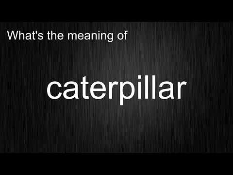 What's the meaning of "caterpillar", How to pronounce caterpillar?