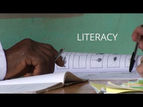 In Their Own Words Literacy