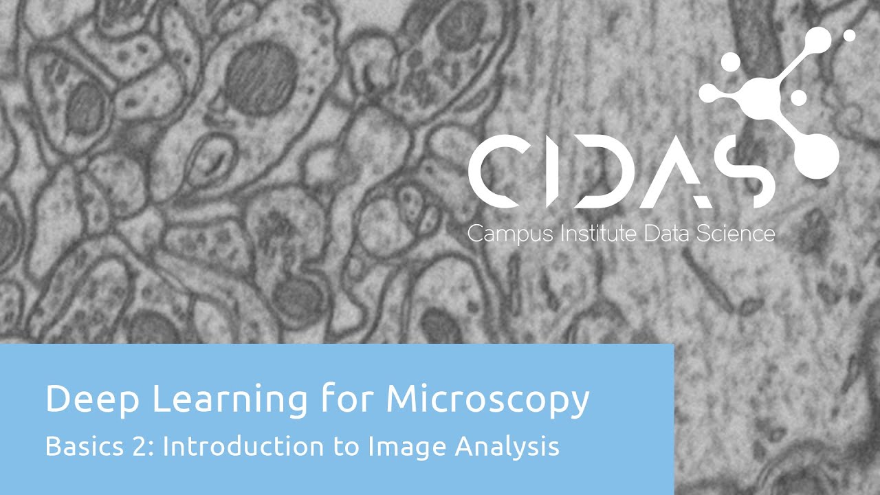 Deep Learning for Microscopy - Basics 2: Introduction to Image Analysis