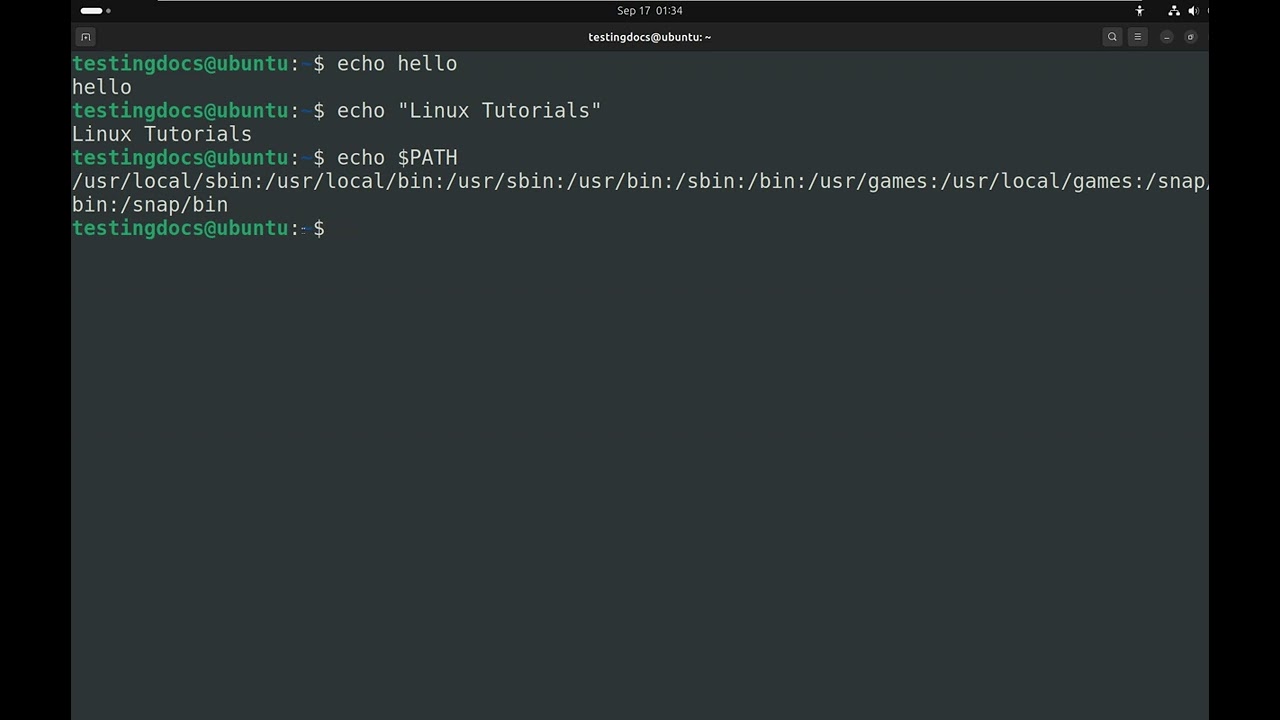 Linux echo Command #linux #testingdocs