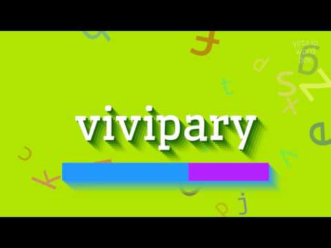How to say "vivipary"! (High Quality Voices)