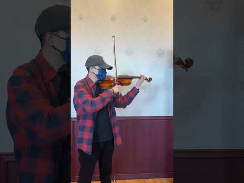 Guarneri del Gesù 1743 "The Cannon" Handmade Violin 4/4 | Reverb