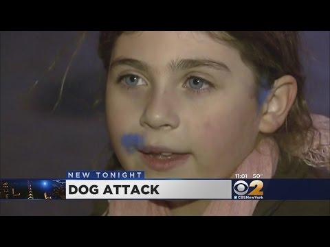 Family Recalls Dog Attack