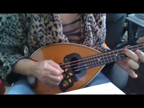 LIGNATONE BOWLBACK MANDOLIN WITH NICE SOUND** SEE VDO** | Reverb