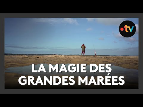 La magie des grandes marées 2025 sur la côte atlantique