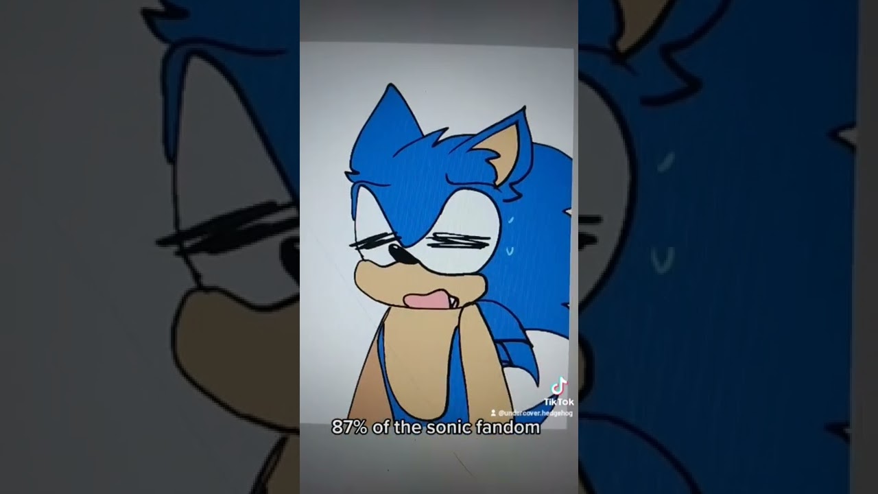 87% of the Sonic Fandom be like || Sonic The Hedgehog