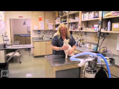 Princeton Veterinary Clinic | San Jose, CA