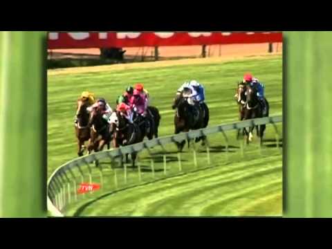2004 Australian Cup - Lonhro