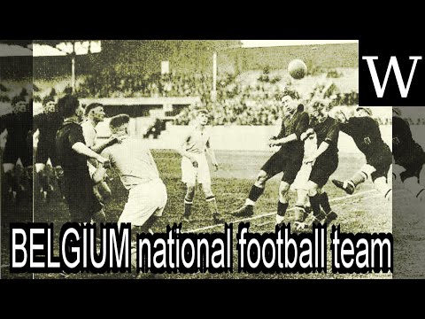 BELGIUM national football team - WikiVidi Documentary