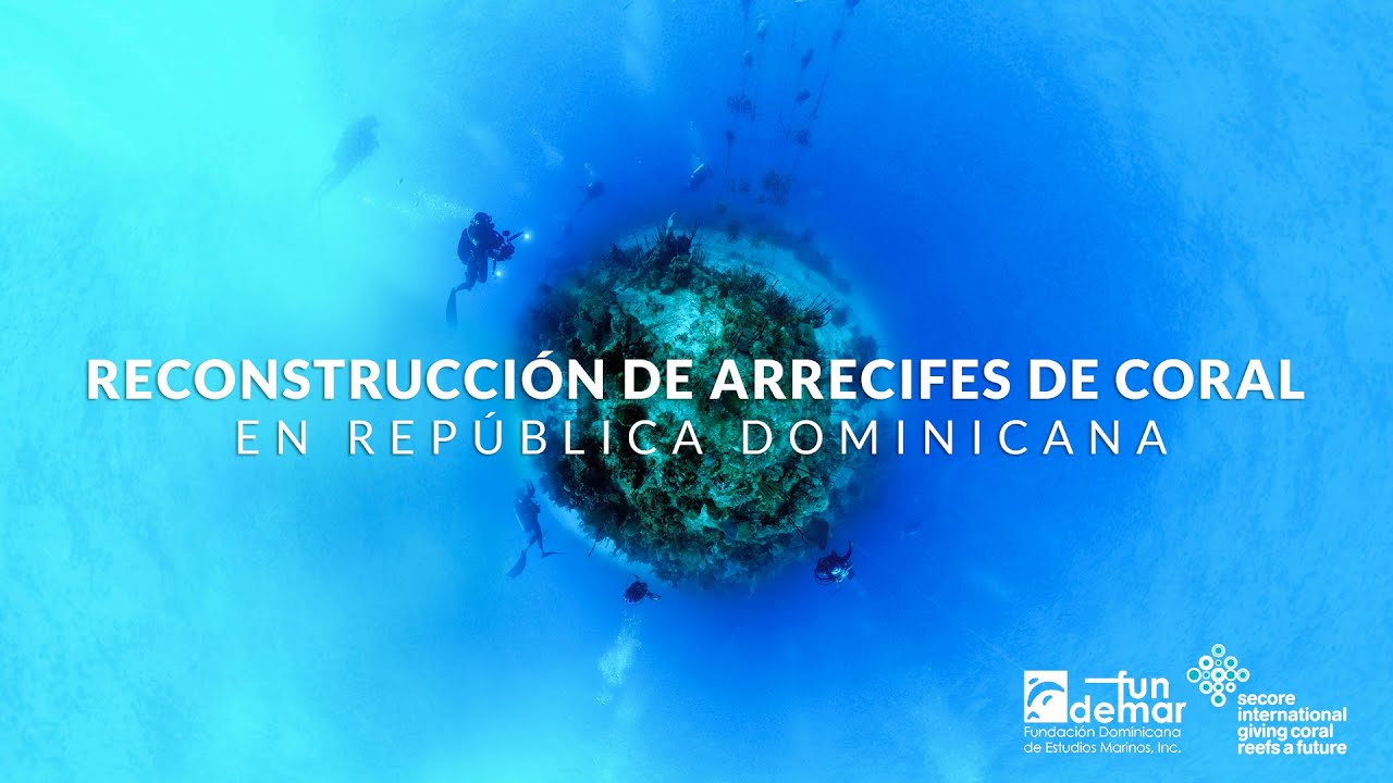 Reconstrucción de arrecifes de coral en República Dominicana (Documento)