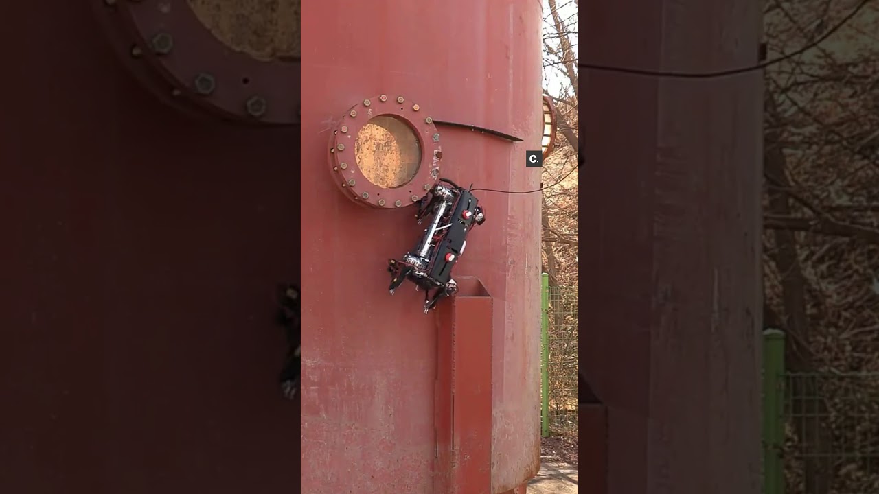 Meet the mobile robot that climbs up walls 💡