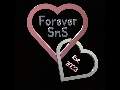Forever SnS - BambuLab 1 Stream - Flexi Turtle Box Lid