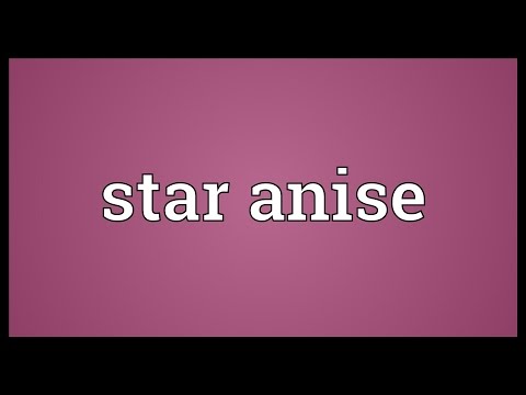 Star anise Meaning