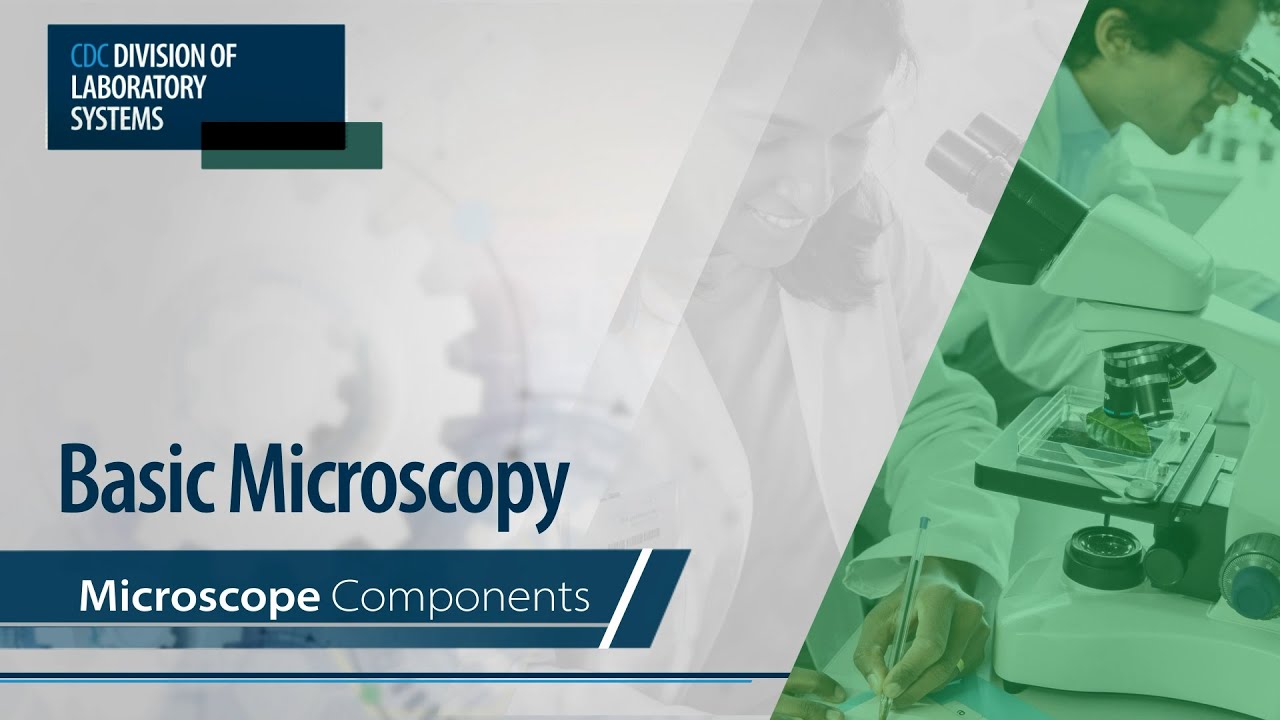 Basic Microscopy – Microscope Components