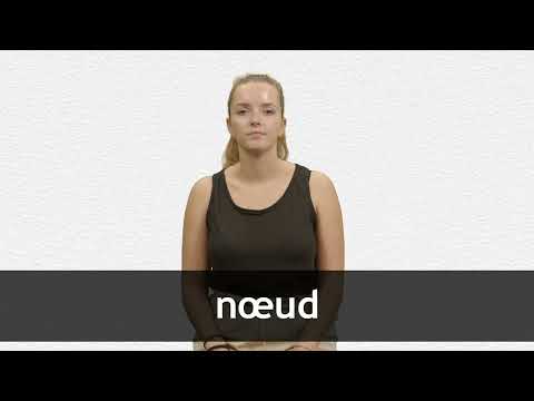 English Translation of “NŒUD” | Collins French-English Dictionary