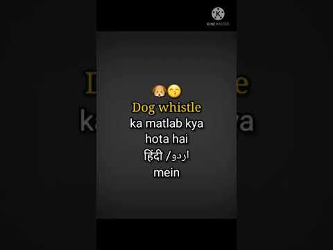 Dog whistle meaning in HINDI/URDU | Dog whistle Pronunciation | Dog whistle definition | LFU Channel
