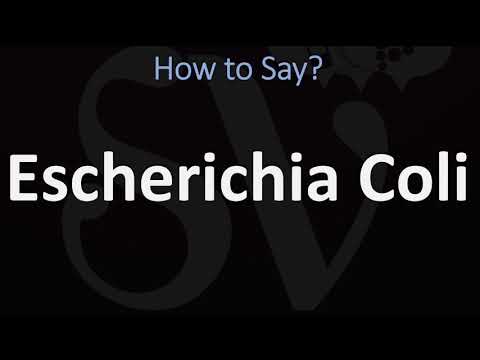 How to Pronounce Escherichia Coli? (CORRECTLY)