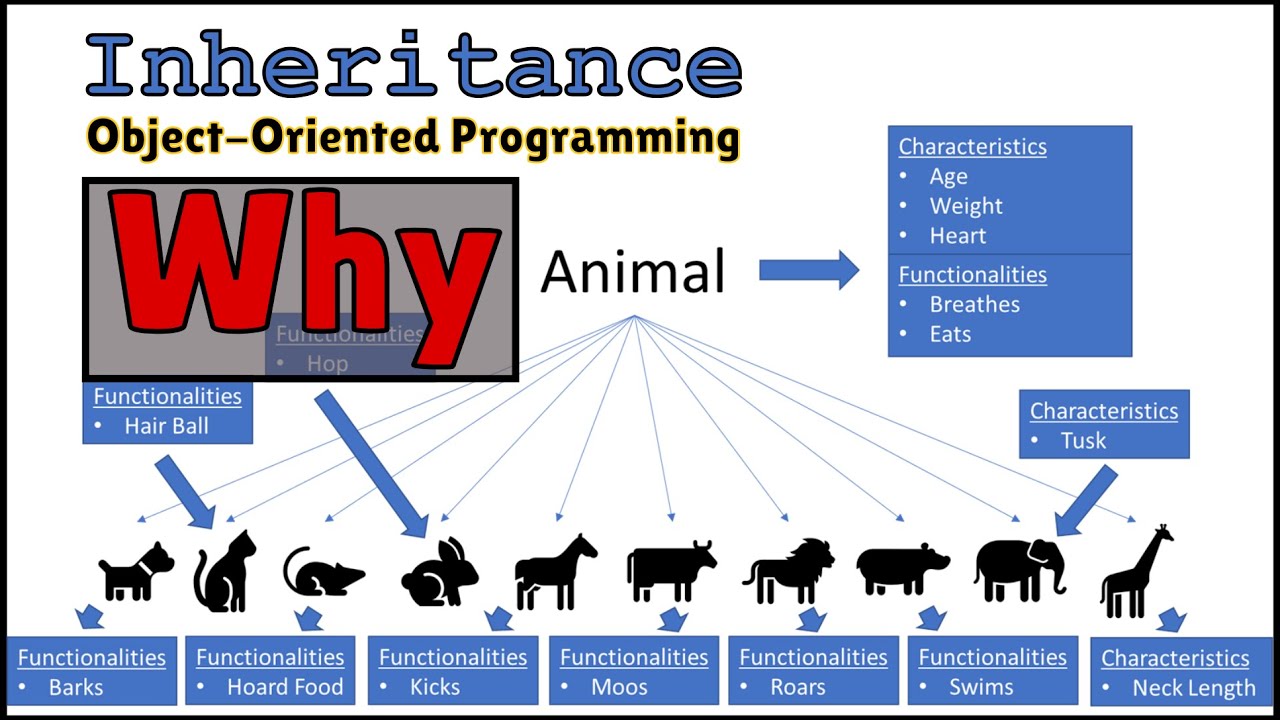 Why Inheritance is Important to Object Oriented Programming
