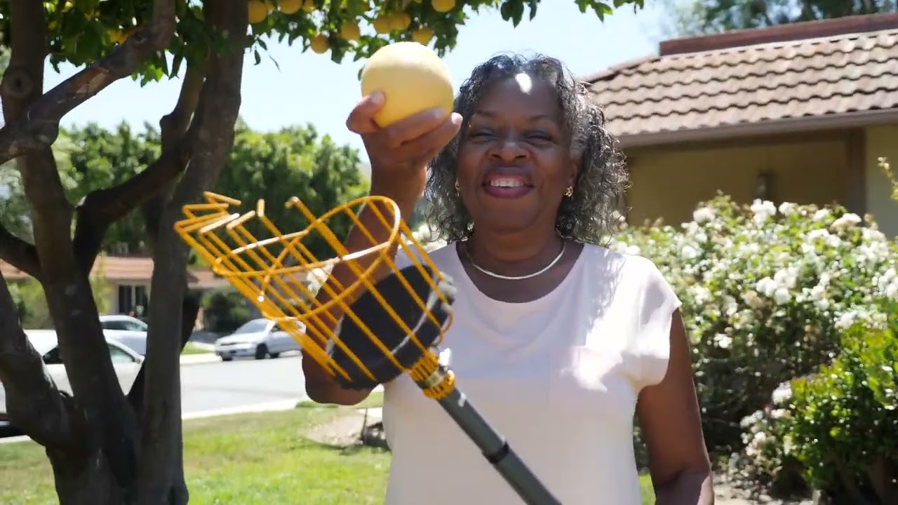 The Willows Community