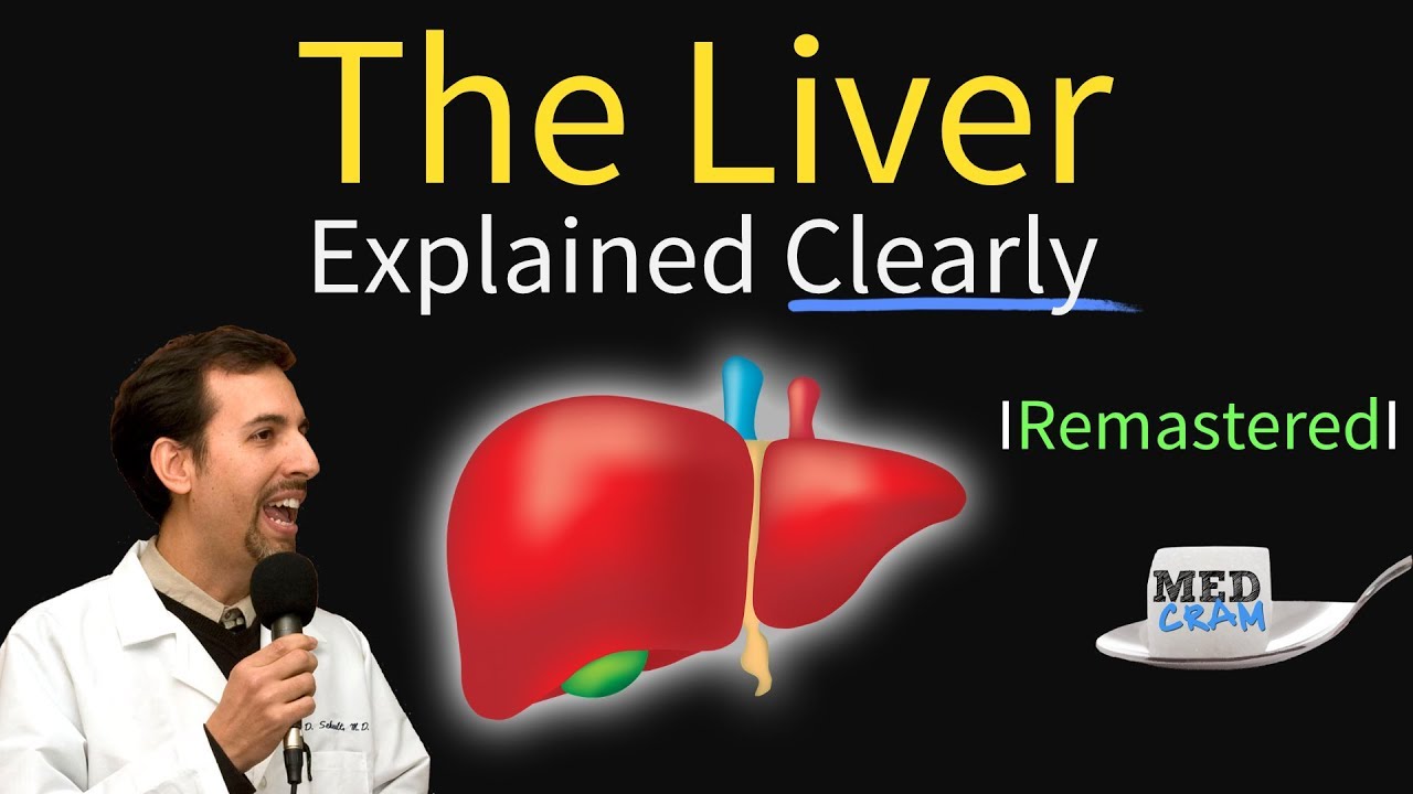 Liver Explained! Function, Pathology, Diseases, & Cirrhosis