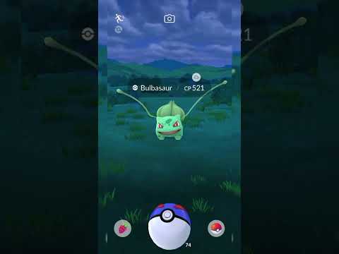 Catching a wild Bulbasaur pokemon go #pokemon #pokemongo #bulbasaur